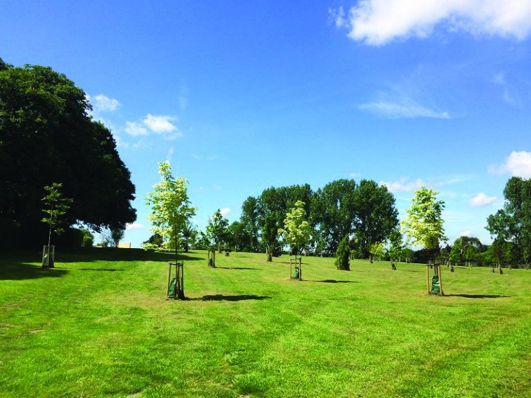 About us - Barcham Trees