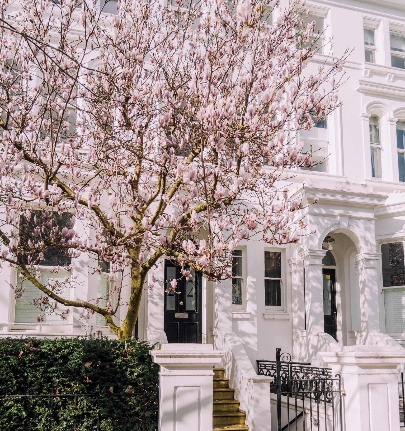 How far away can trees safely be planted from a house? - Barcham Trees