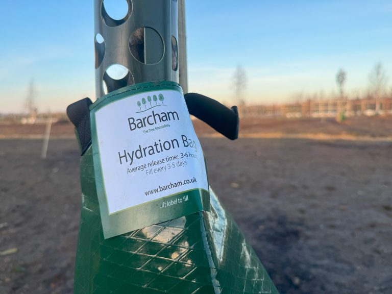 How to use our tree hydration bags - Barcham Trees