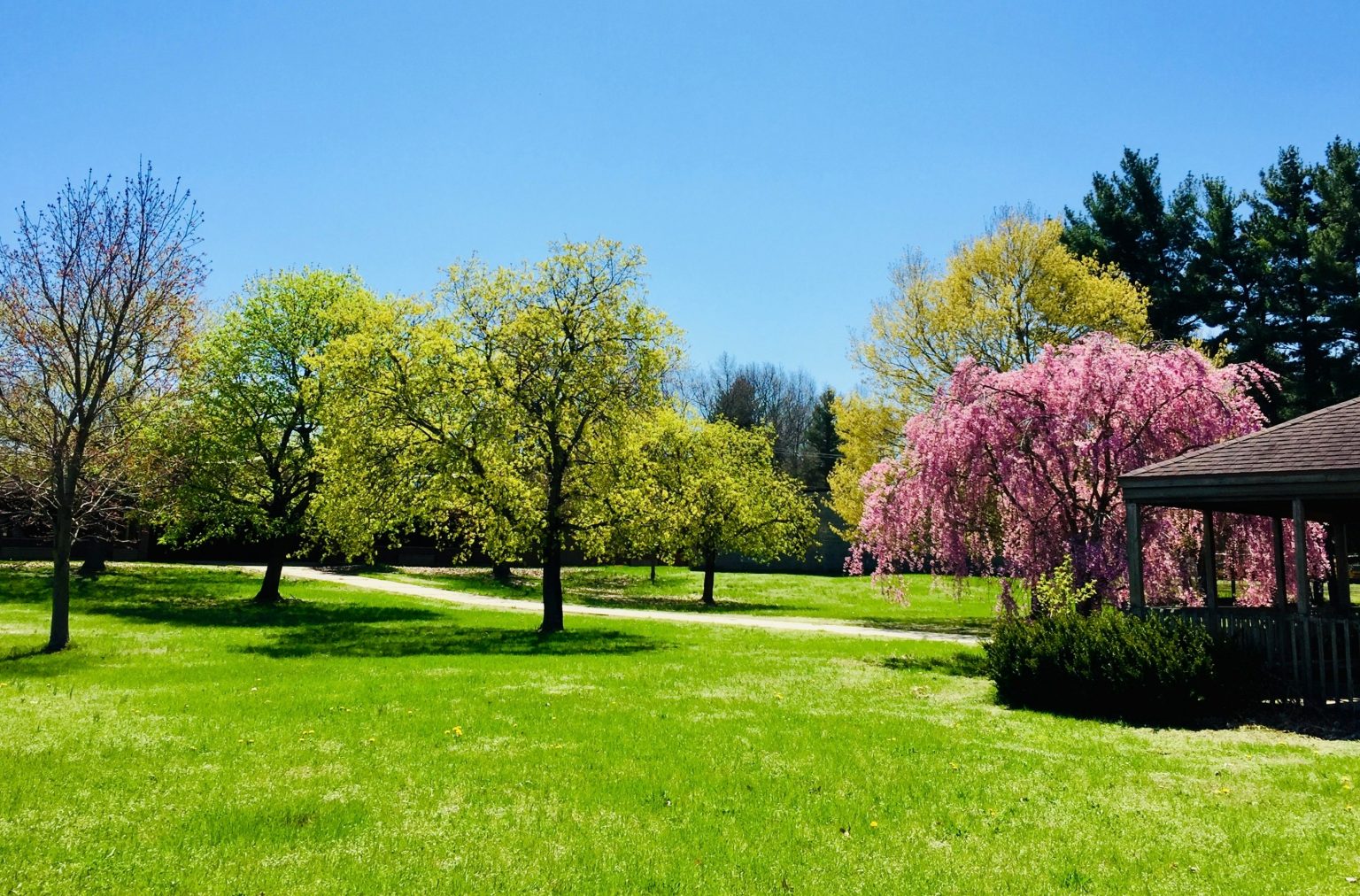 Guides and advice - Barcham Trees